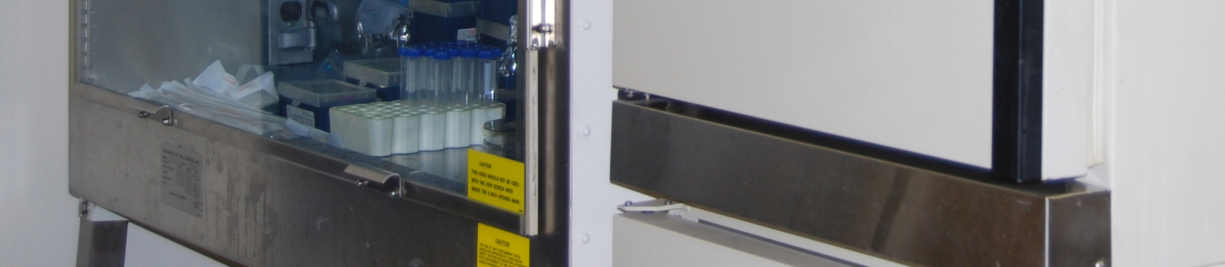 Gut Bacteria | Laparoscopic.MD